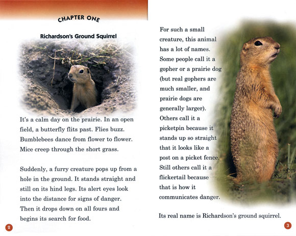 Scholastic Canada | Canada Close Up: Canada's Prairie Animals